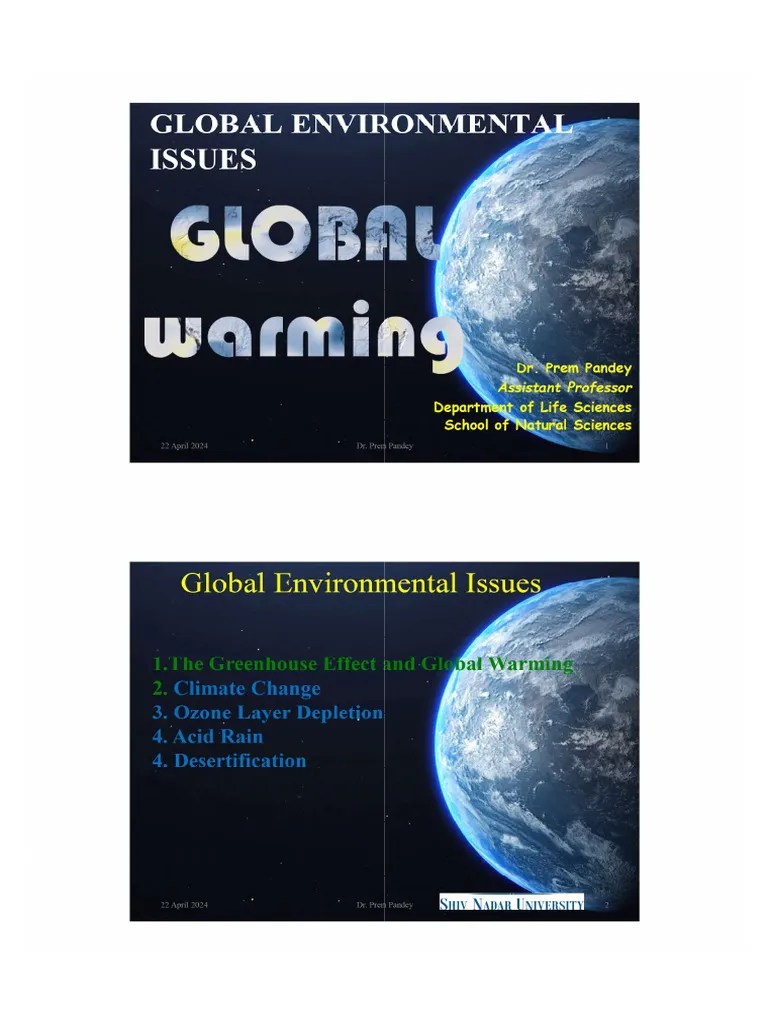 Global Environment Pdf