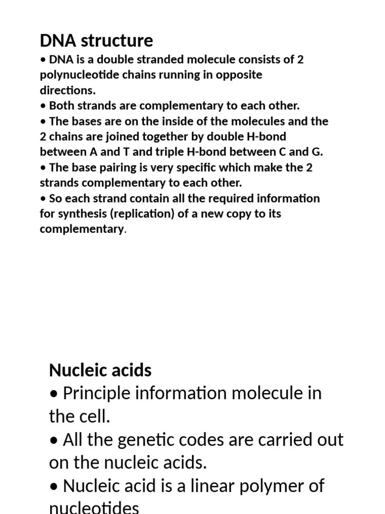 Dna Structure Pdf