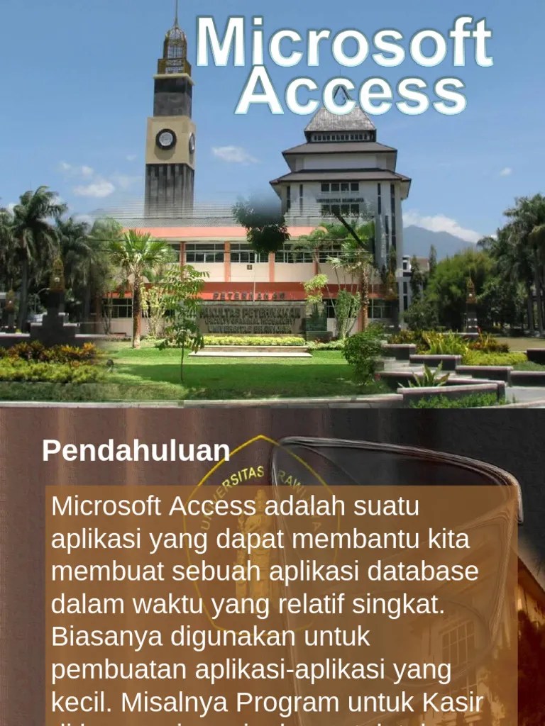 Microsoft Access New Pdf Information Technology Application Software