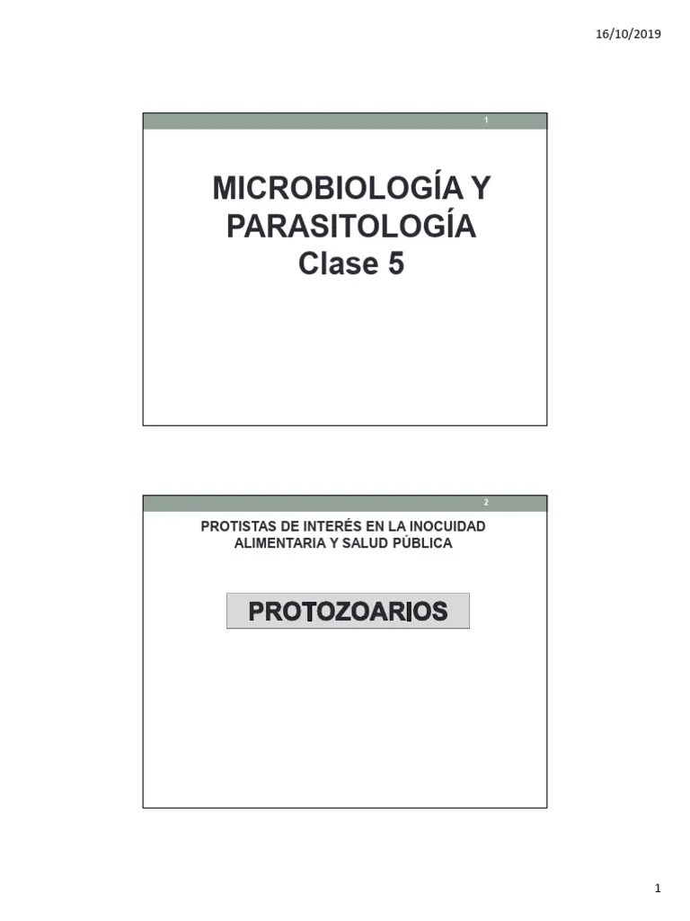 Micro Clase Parásitos Pdf