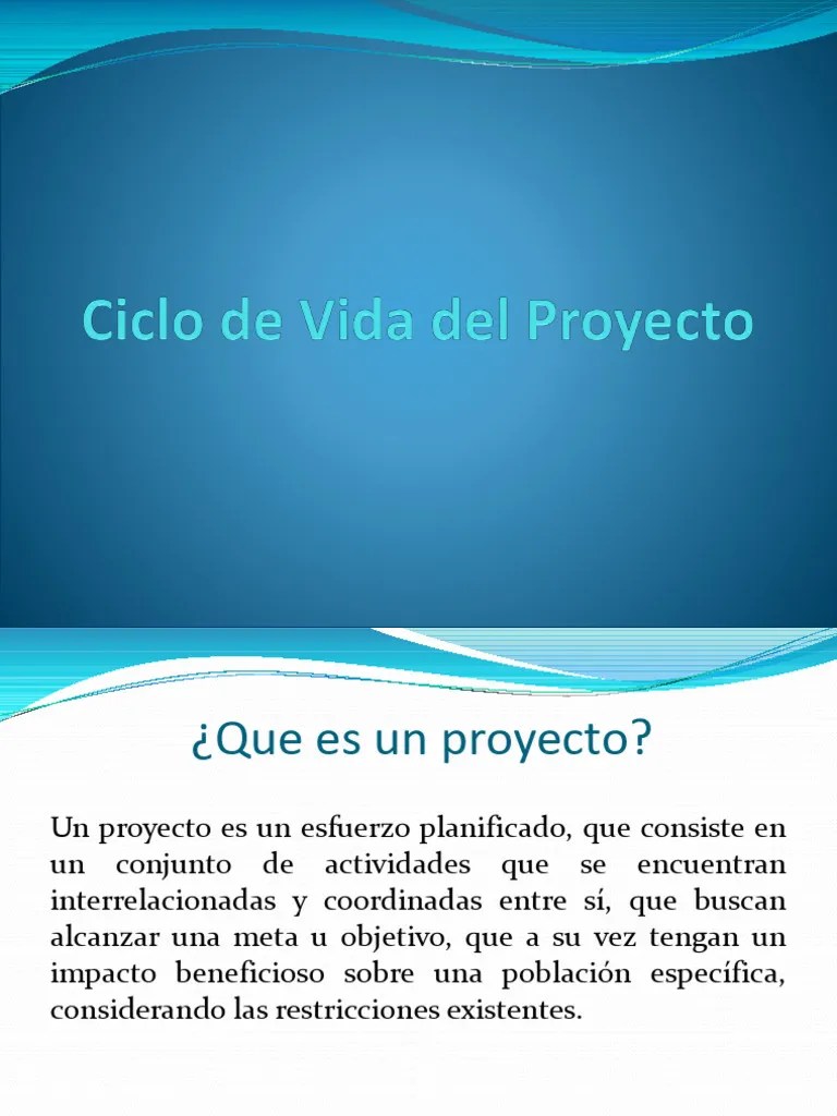 Cap 1 Ciclo De Vida Del Proyecto Pdf Evaluación Del Ciclo De Vida