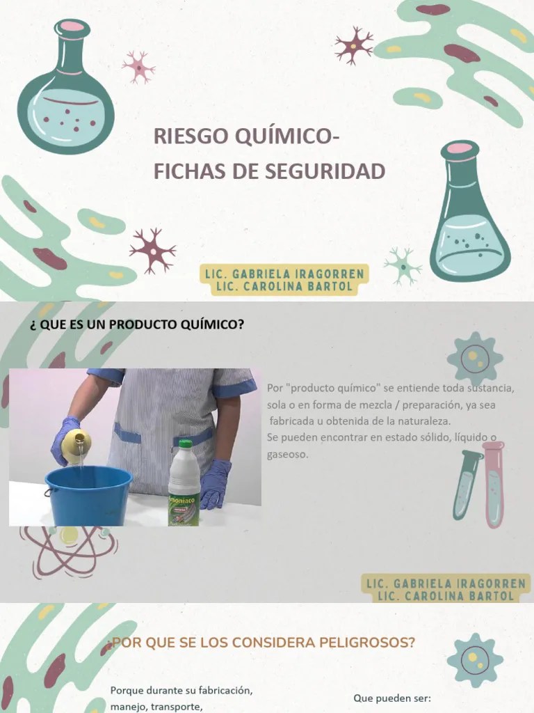 04 Riesgo Quimico Hojas De Seguridad Pdf Química