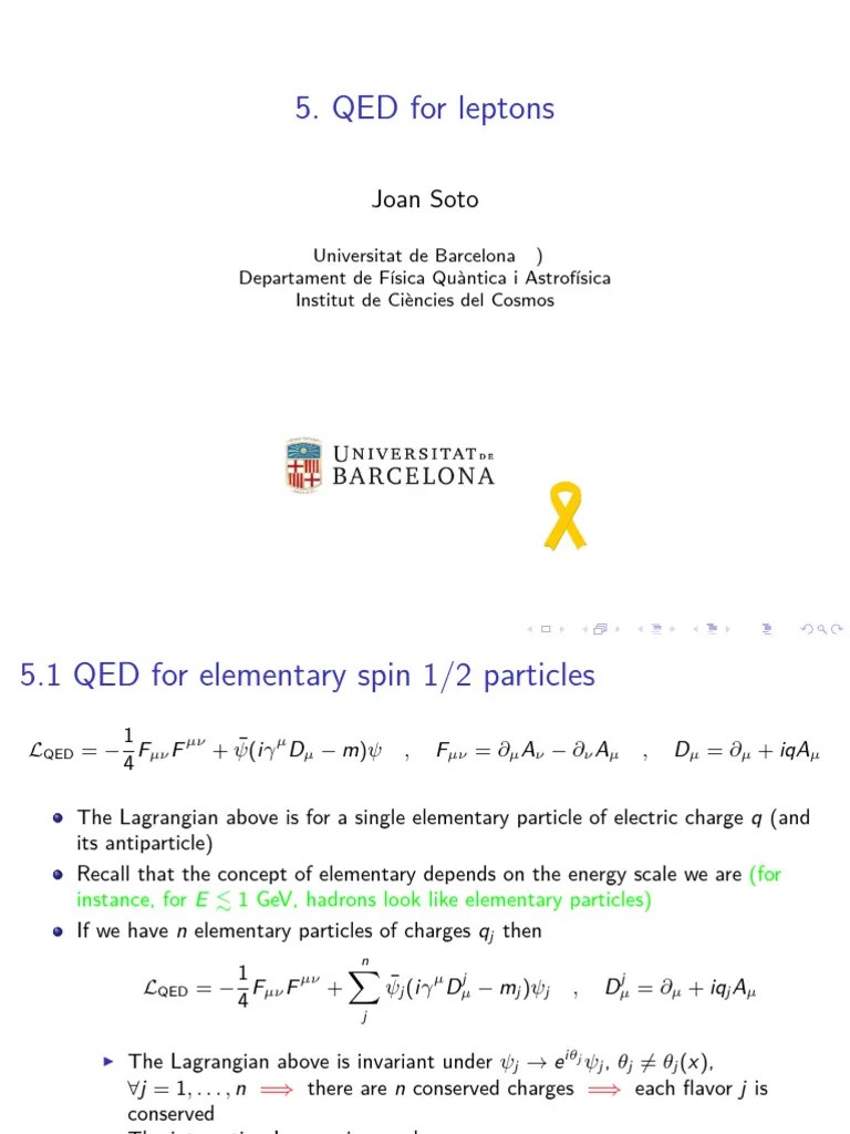 5 Qed For Leptons Pdf Quantum Electrodynamics Elementary Particle