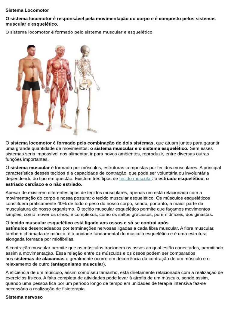 Sistema Locomotor E Nervoso Explicados Pdf Músculo Sistema Nervoso