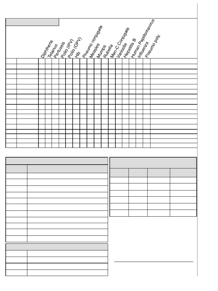 Immunization Record Pdf Public Health Drugs