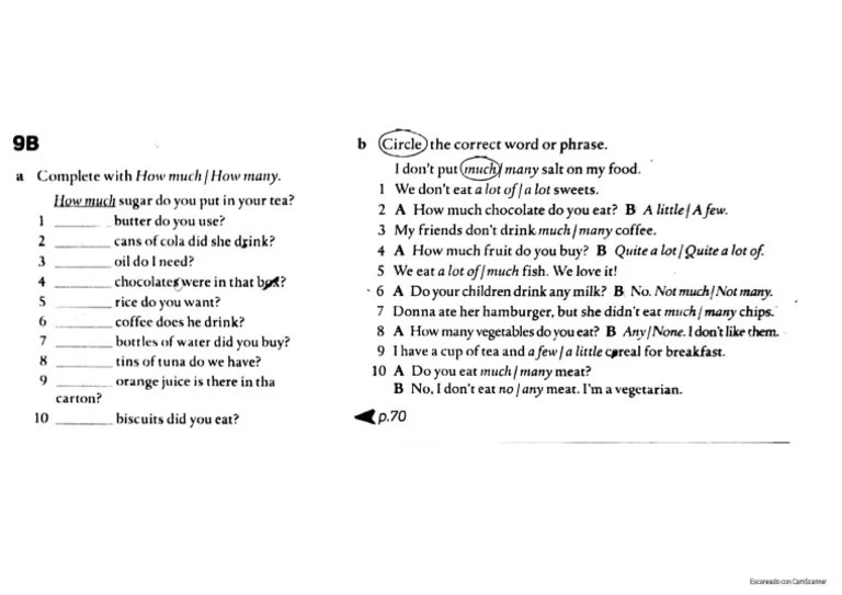 Quantifiers Practice Pdf