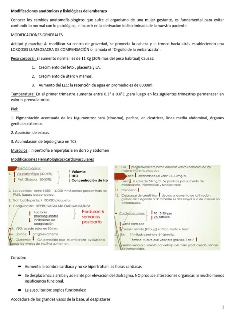 Modificaciones Anatómicas Y Fisiológicas Del Embarazo Pdf El