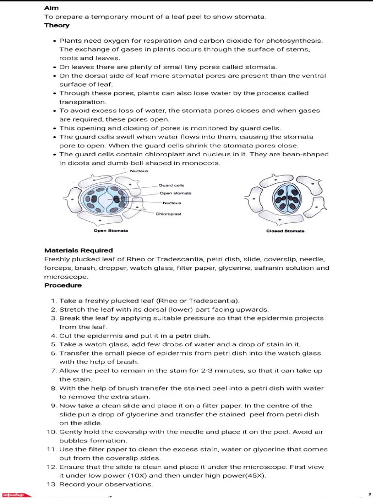 Biology Lab Experiments Guide Pdf Seed Cellular Respiration