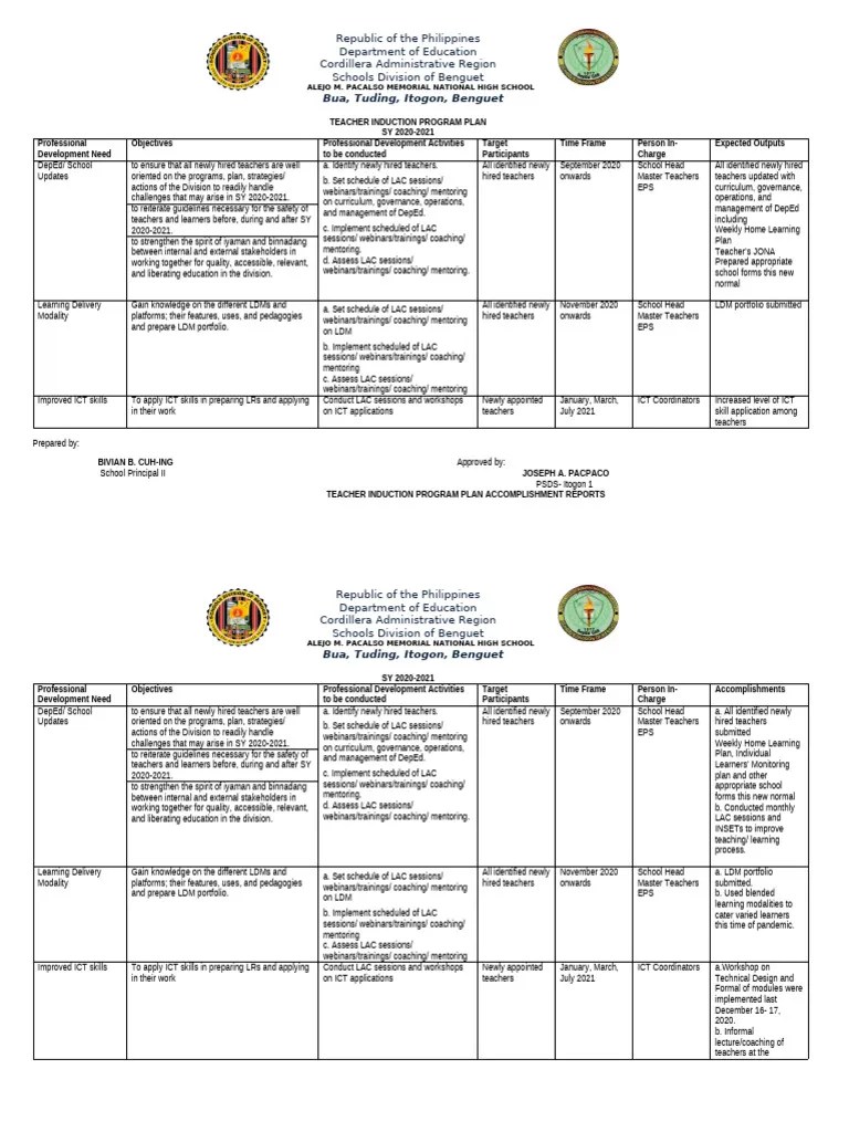 Tip Plan Pdf Mentorship Educational Technology