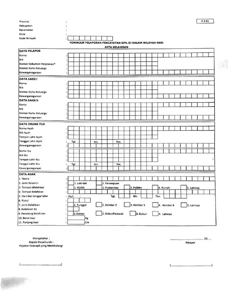 Formulir Akte Kelahiran Baru | PDF