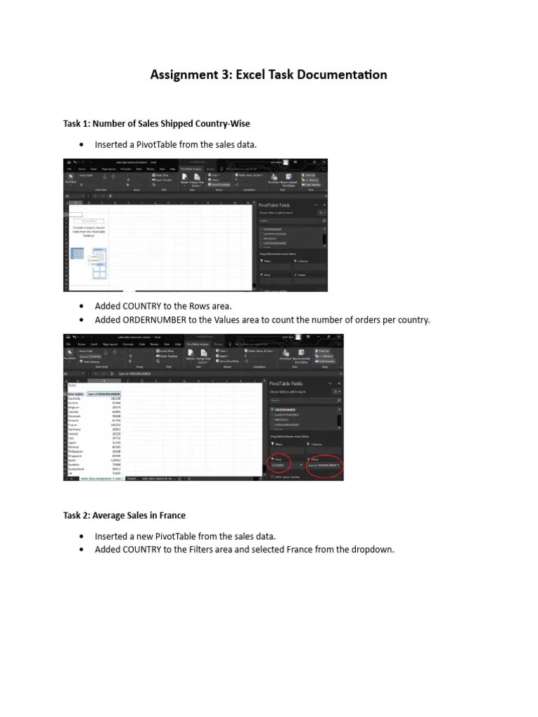 Assignment 3 Excel Word Documentation Pdf