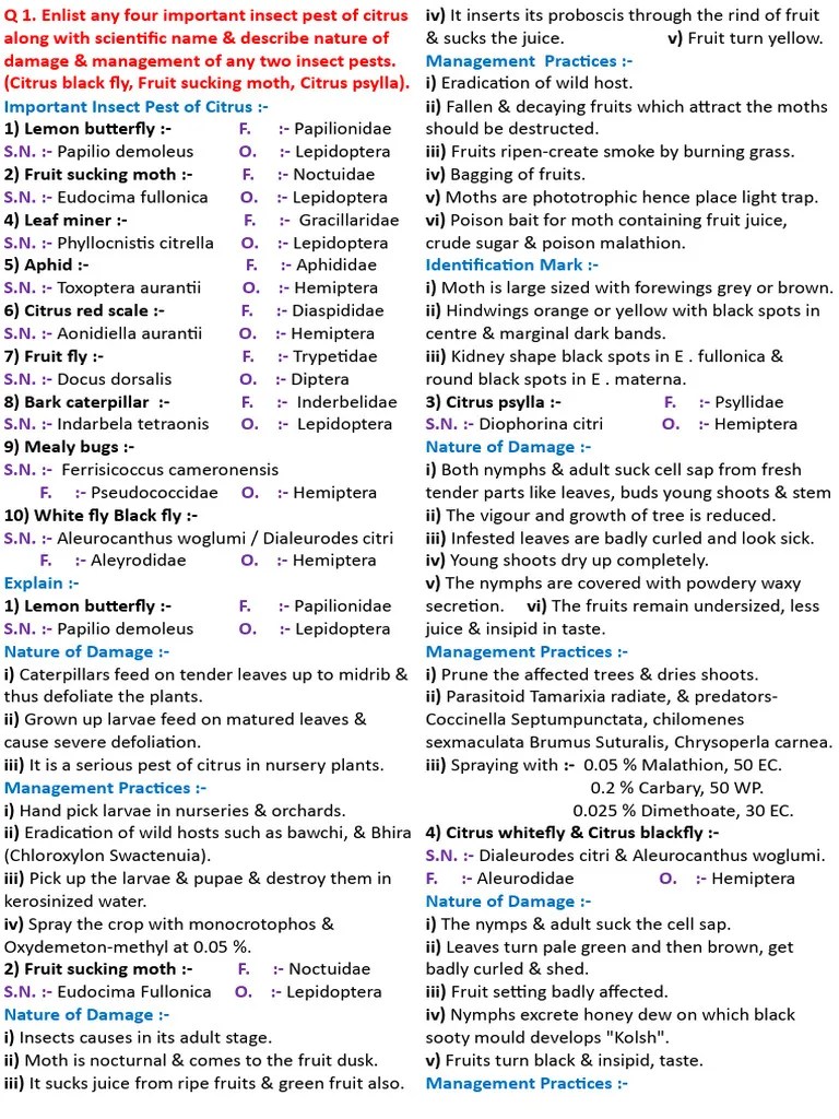 Ento 243 Pdf Pest Organism Beetle