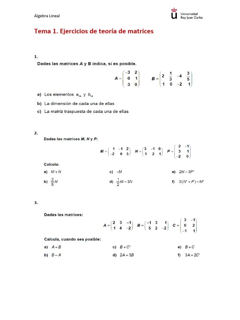 Tema1 Ejercicios Matrices | PDF