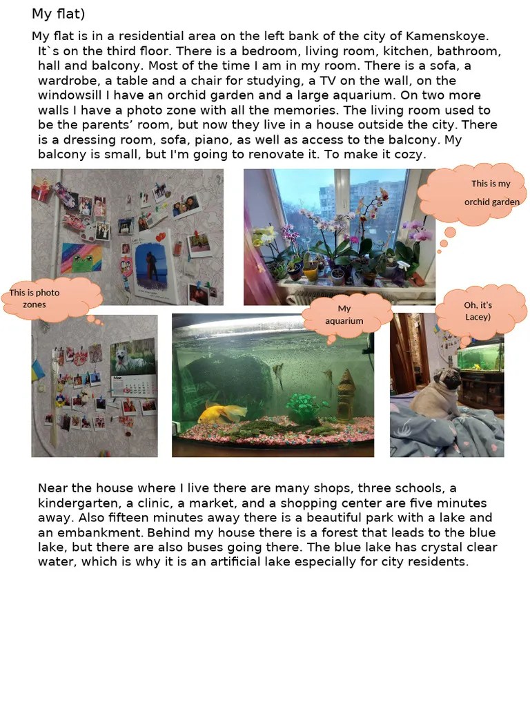 My Flat Pdf