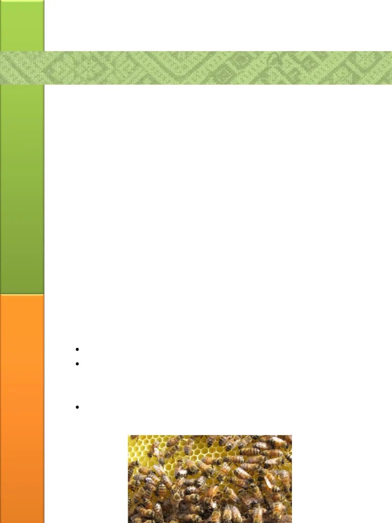 Habitantes De La Colmena Pdf Colmena Apicultura