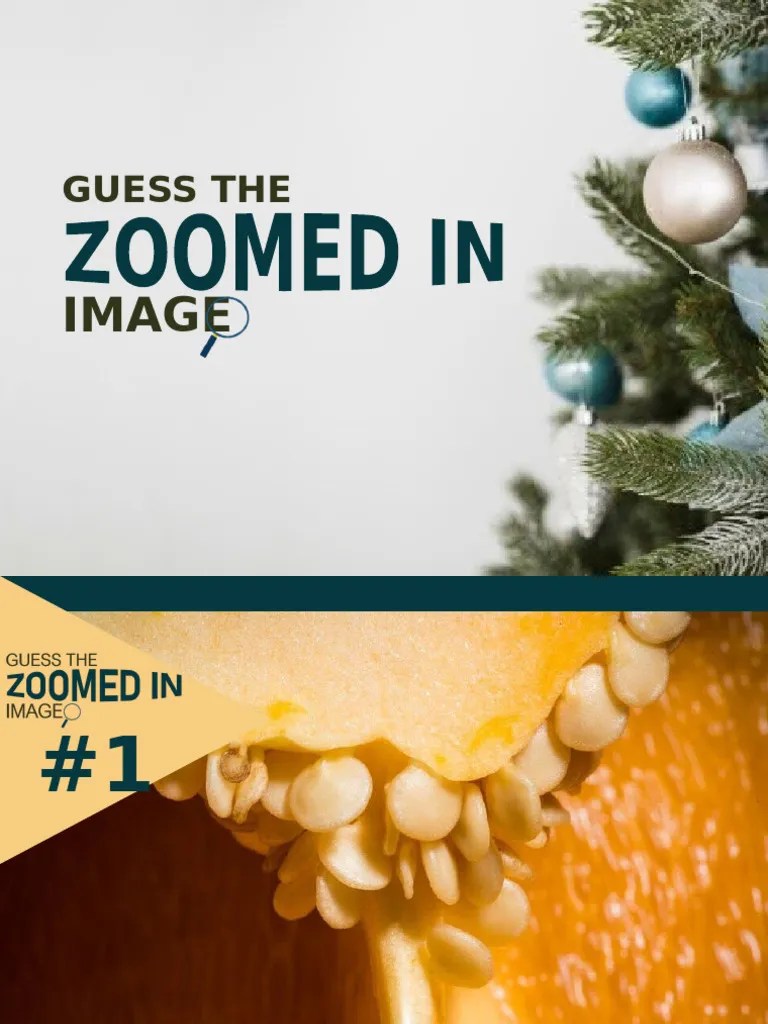 Guess The Food Image Quiz Pdf