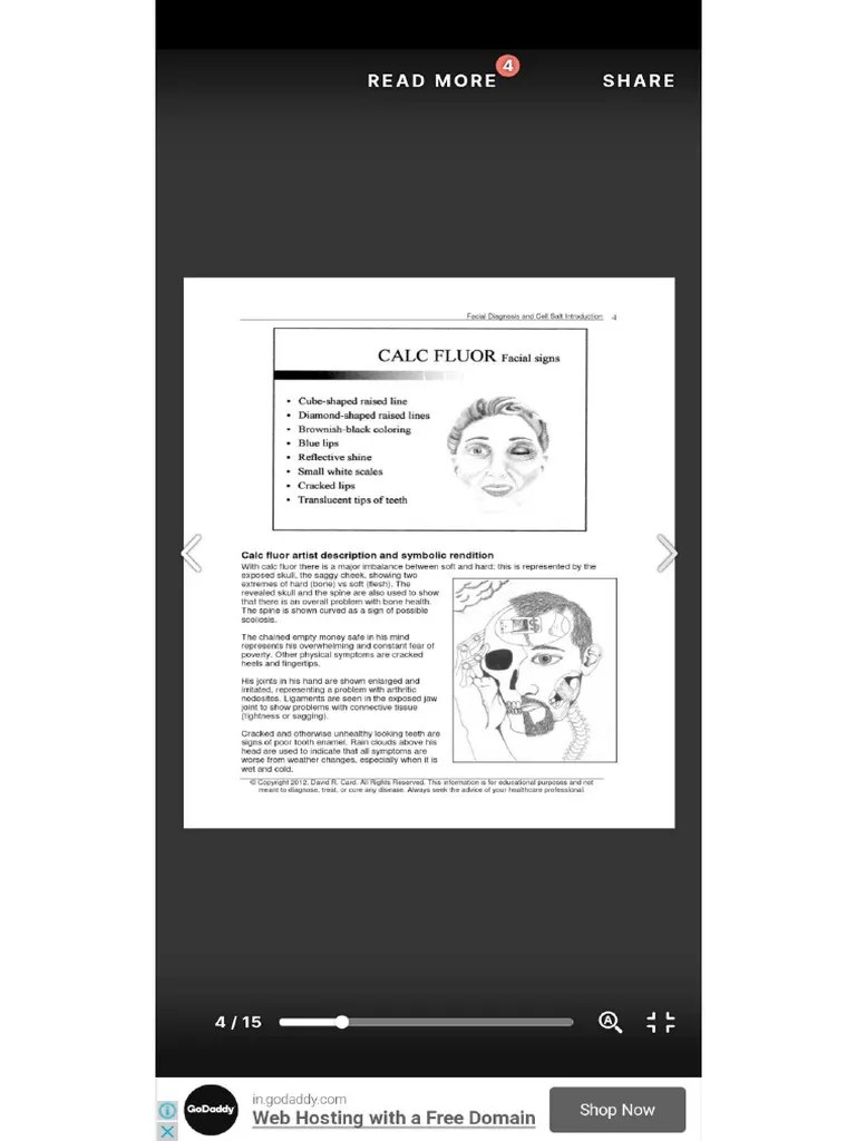 Facial Analysis 2 Pdf