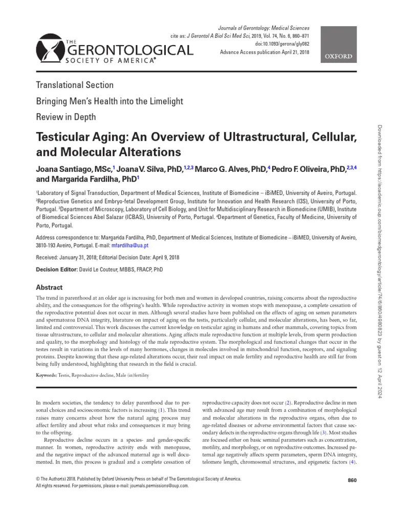 Testicular Aging Pdf Testicle Luteinizing Hormone