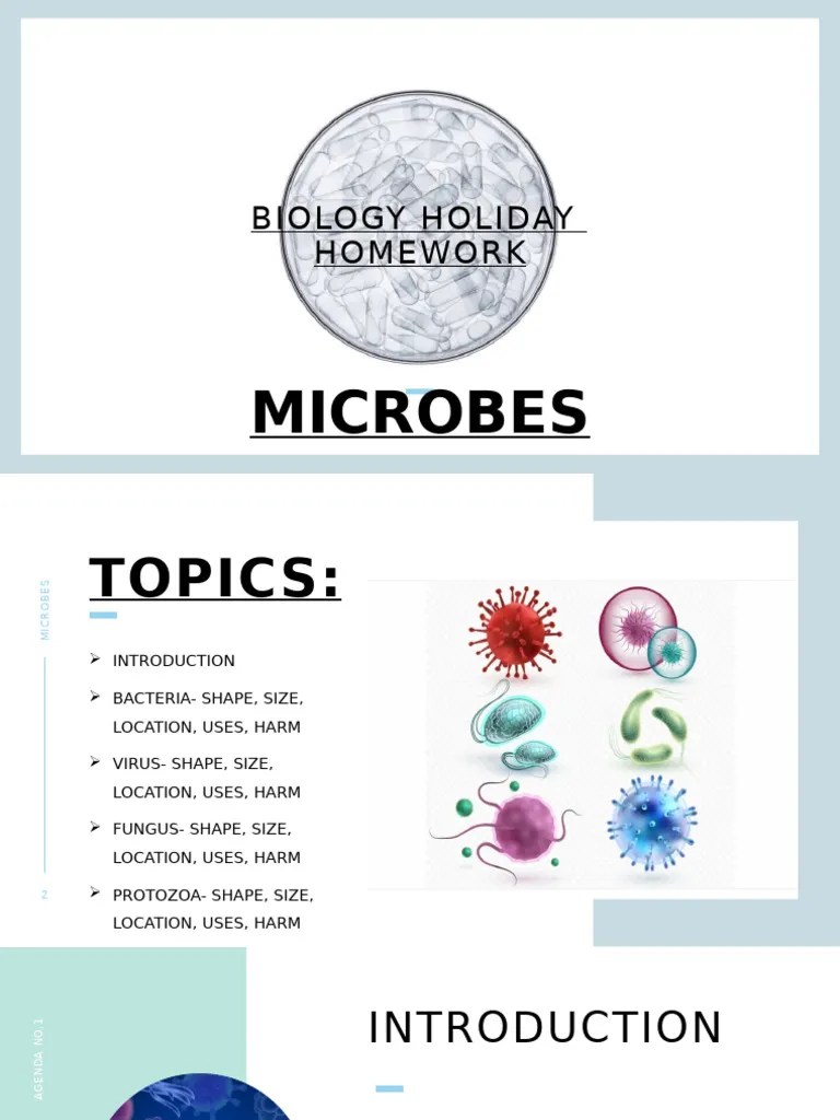 Biology Holiday Homework Pdf Bacteria Microorganism