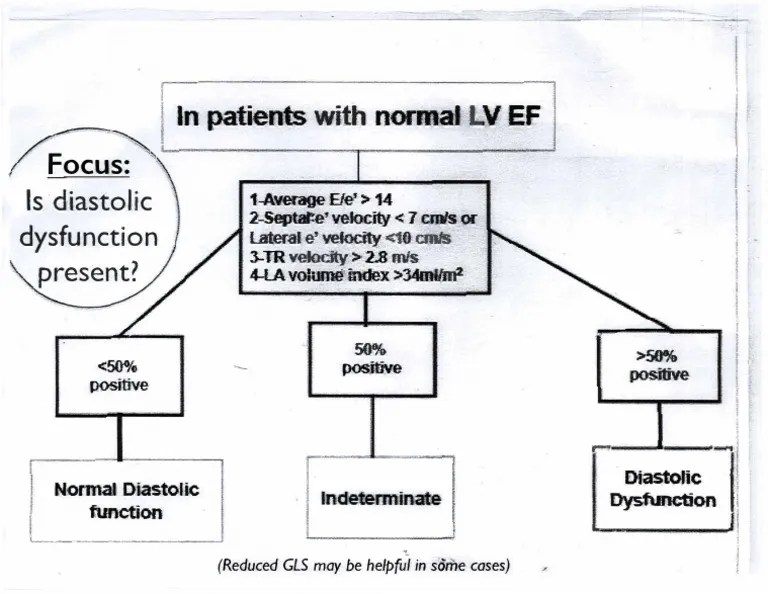 Diastolic Function Assessment With Normal Ef Pdf Cardiovascular System