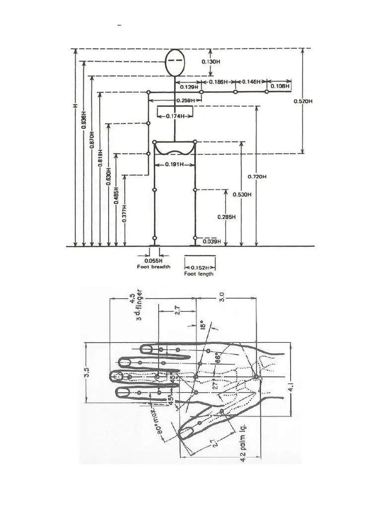 Anthropometric Data Pdf