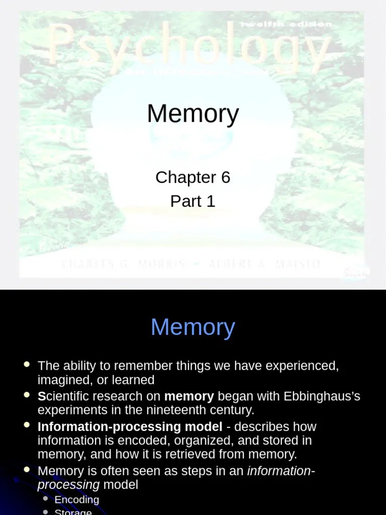 Chapter 6 Part 1 Pdf Memory Long Term Memory