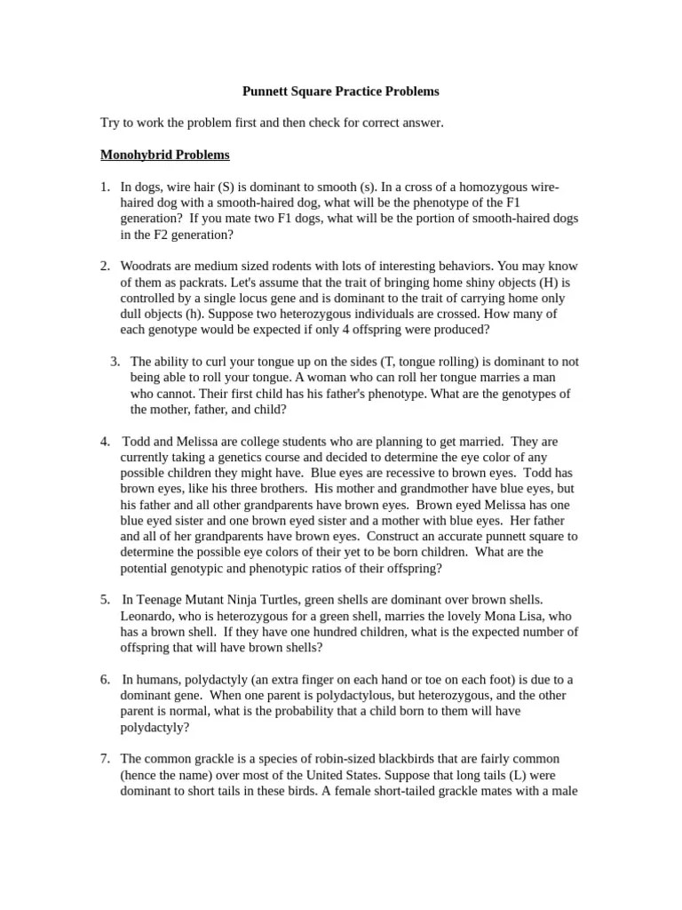 Punnett Square Genetics Practice Problems Pdf Dominance Genetics