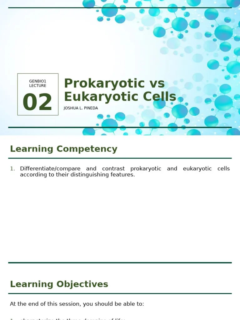 Prokaryotic Vs Eukaryotic Cell Differences Pdf Cell Biology