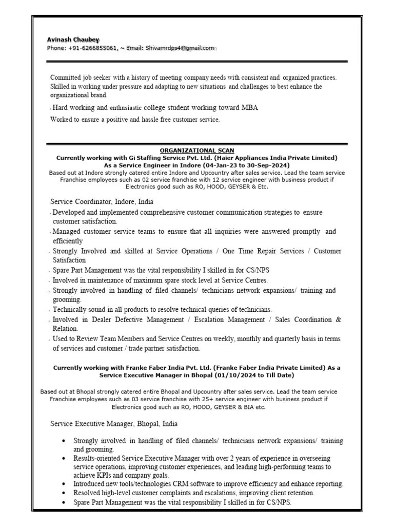 Cv Avinash Chaubey Pdf Business Computing
