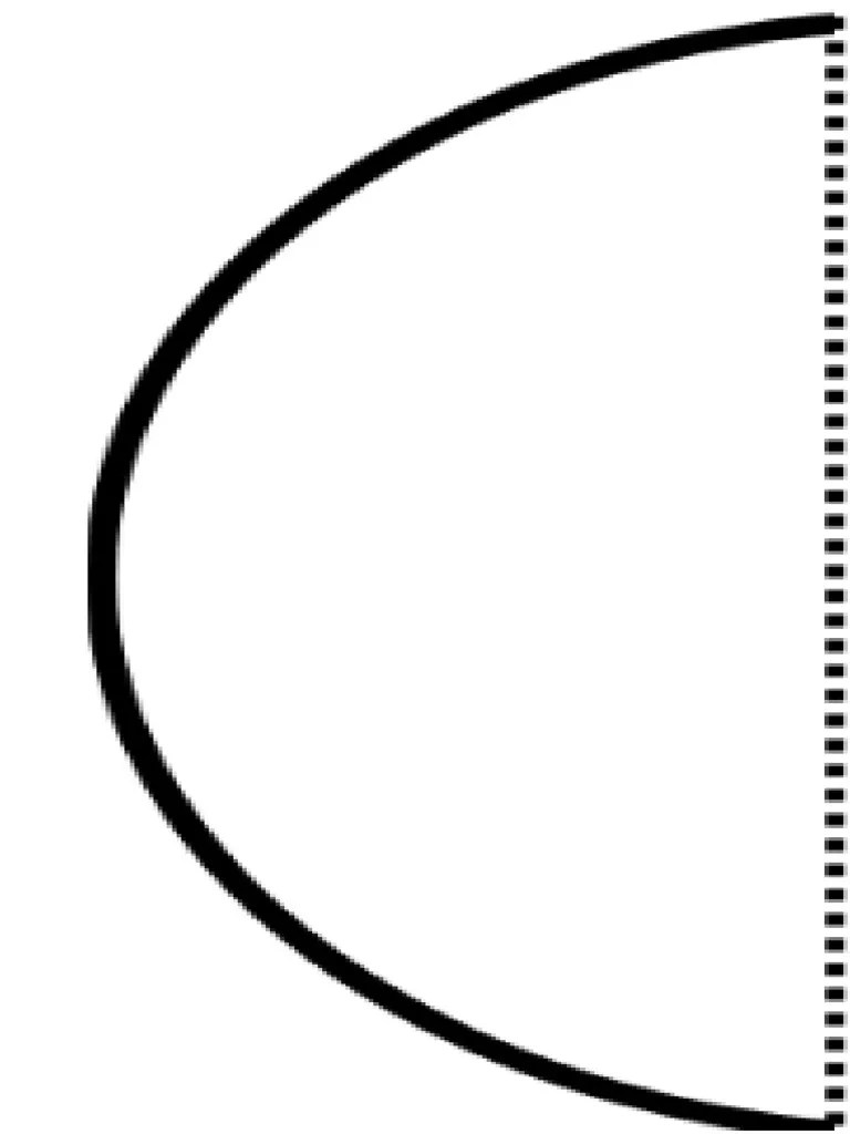 Shps Pdf