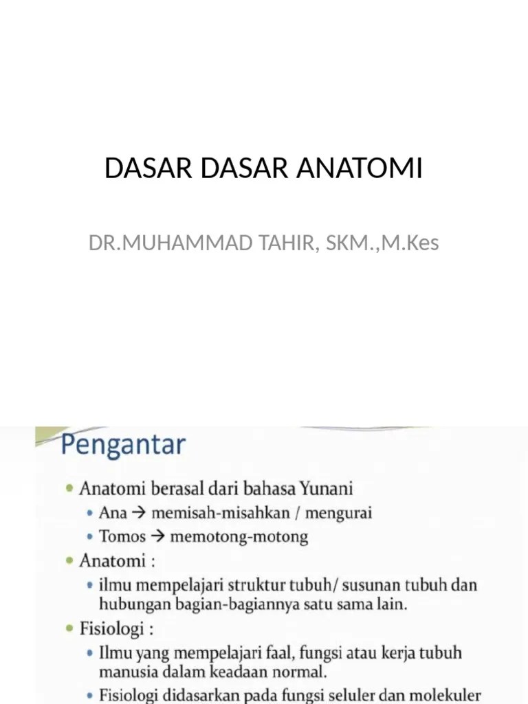 Dasar Dasar Anatomi Pdf