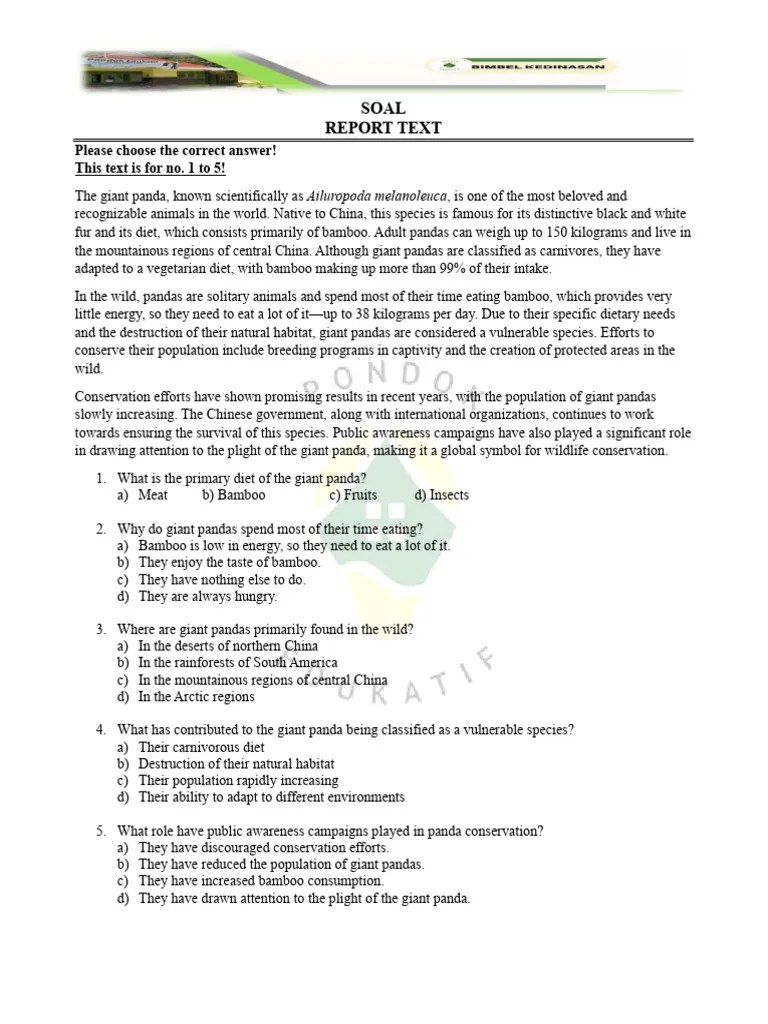 Report Text Pdf Giant Panda Mount Everest