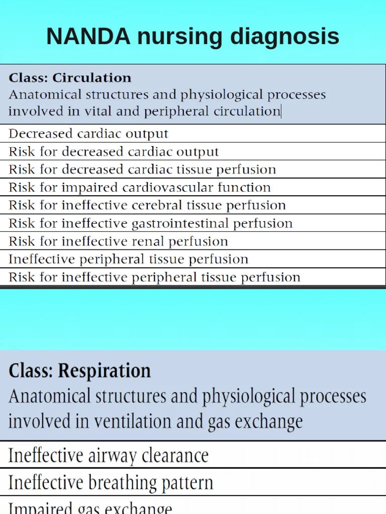 Nanda Nursing Diagnosis Guide Pdf