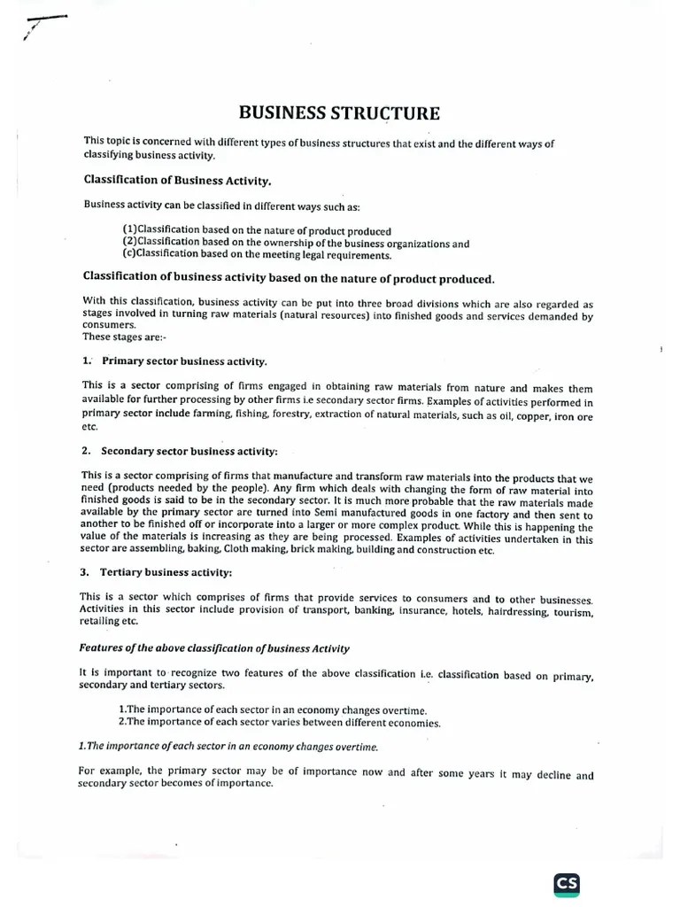 Business Structure Pdf