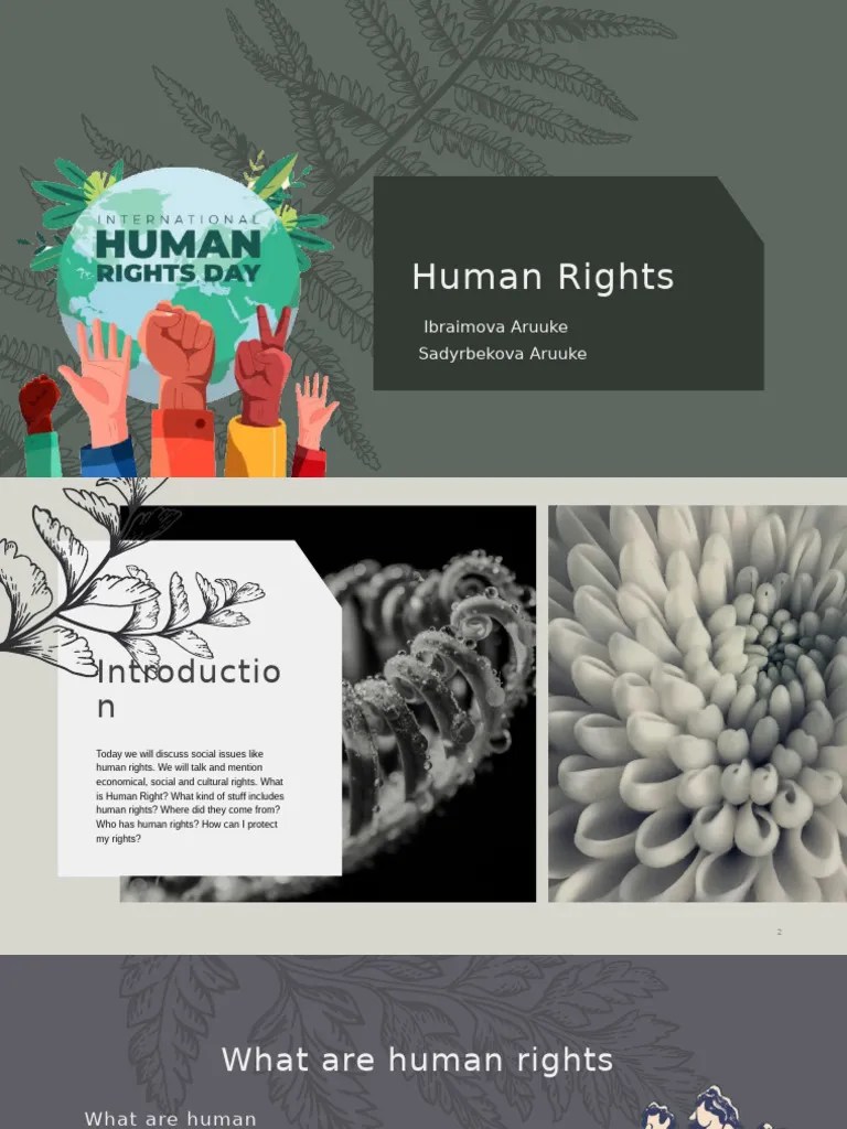 Human Rights Pdf Human Rights Cyrus The Great