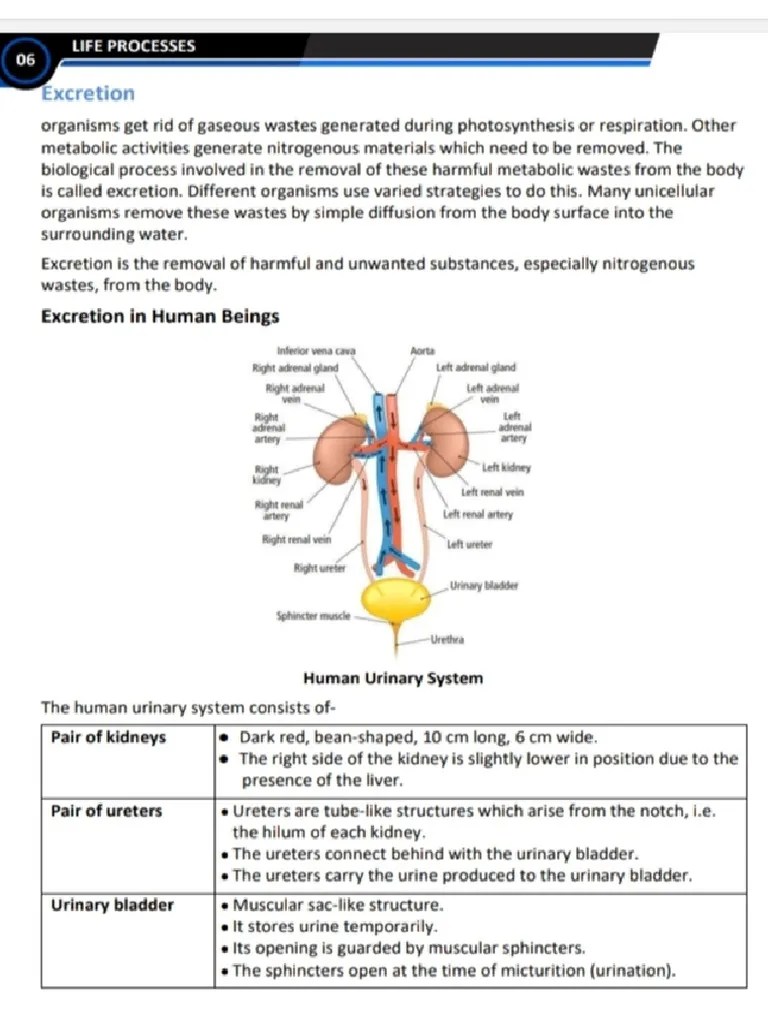 Science Classwork Pdf
