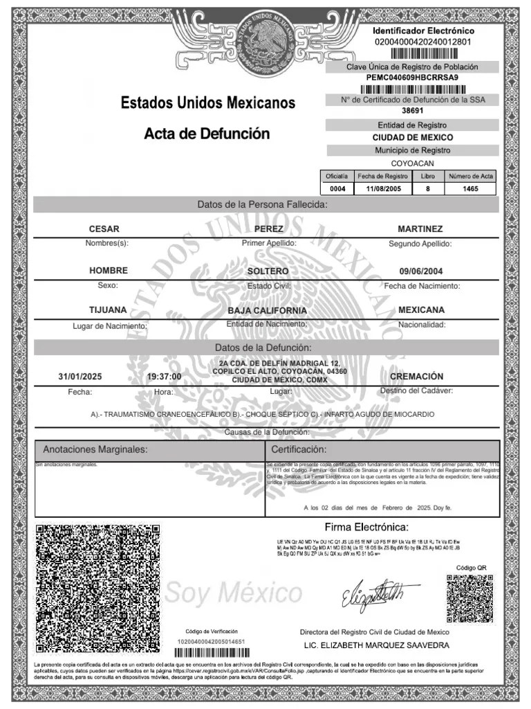 Acta De Defunción Ciudad De México 2025 Pdf