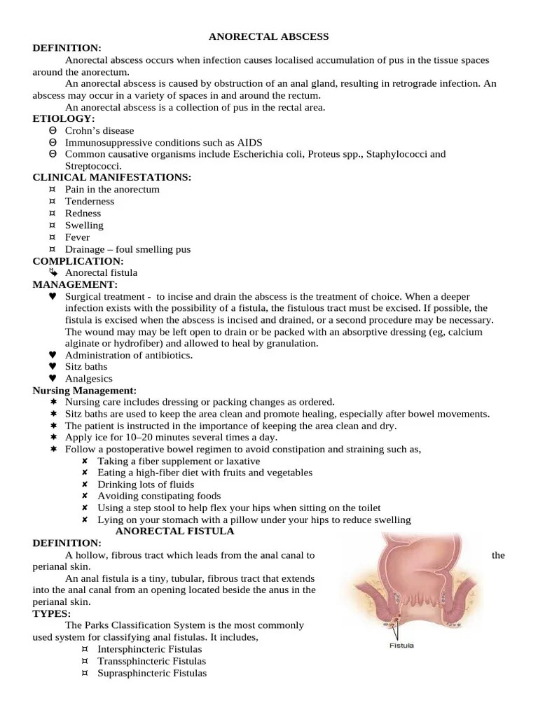 Anorectal Abscess And Fistula Overview Pdf Hemorrhoid Rectum