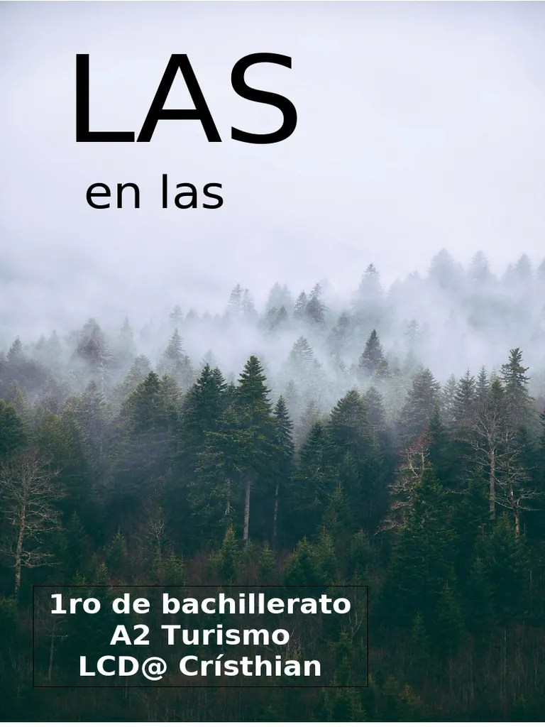 Las Tics Pdf