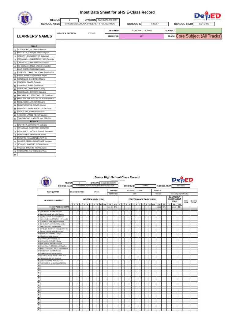 Shs E Class Record For Stem 5 2024 2025 Pdf Philippines