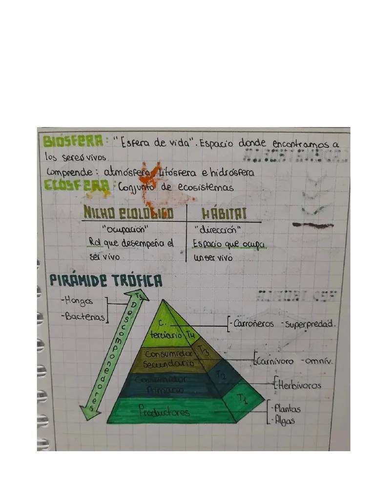 2323 Pdf