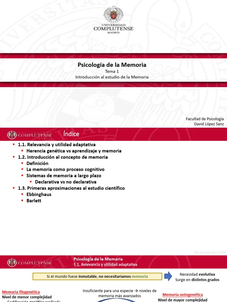 Psicología De La Memoria Conceptos Clave Pdf Memoria Sicología