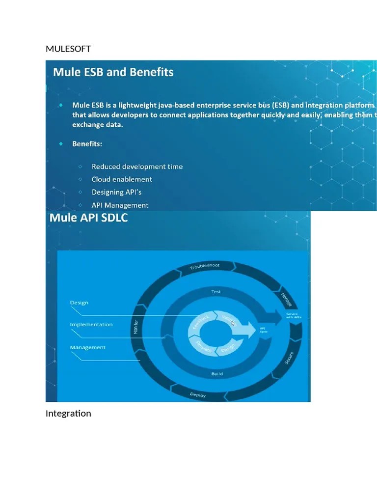 Mulesoft Pdf