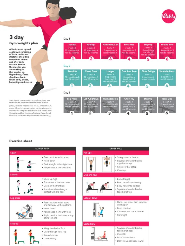 J4689 Lifestyle Exercise Handouts Feb2024 V1 Rgb 1 Pdf Strength