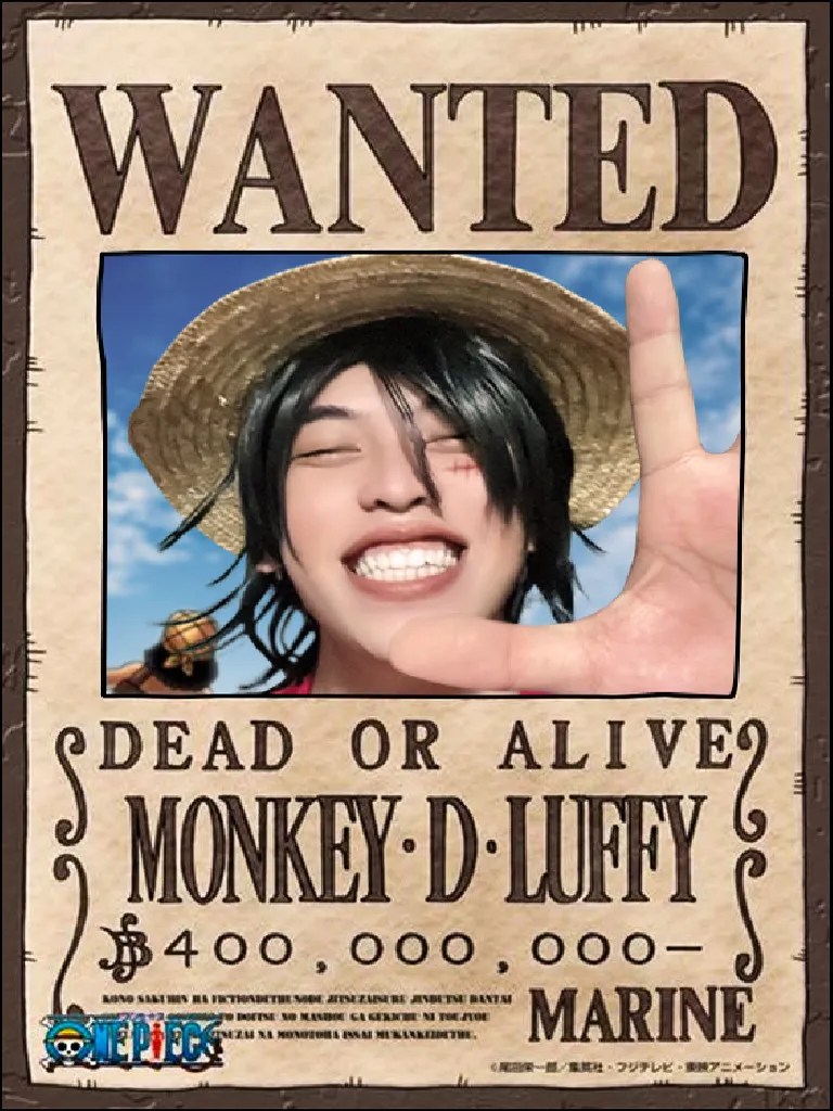 Wanted Poster Pdf