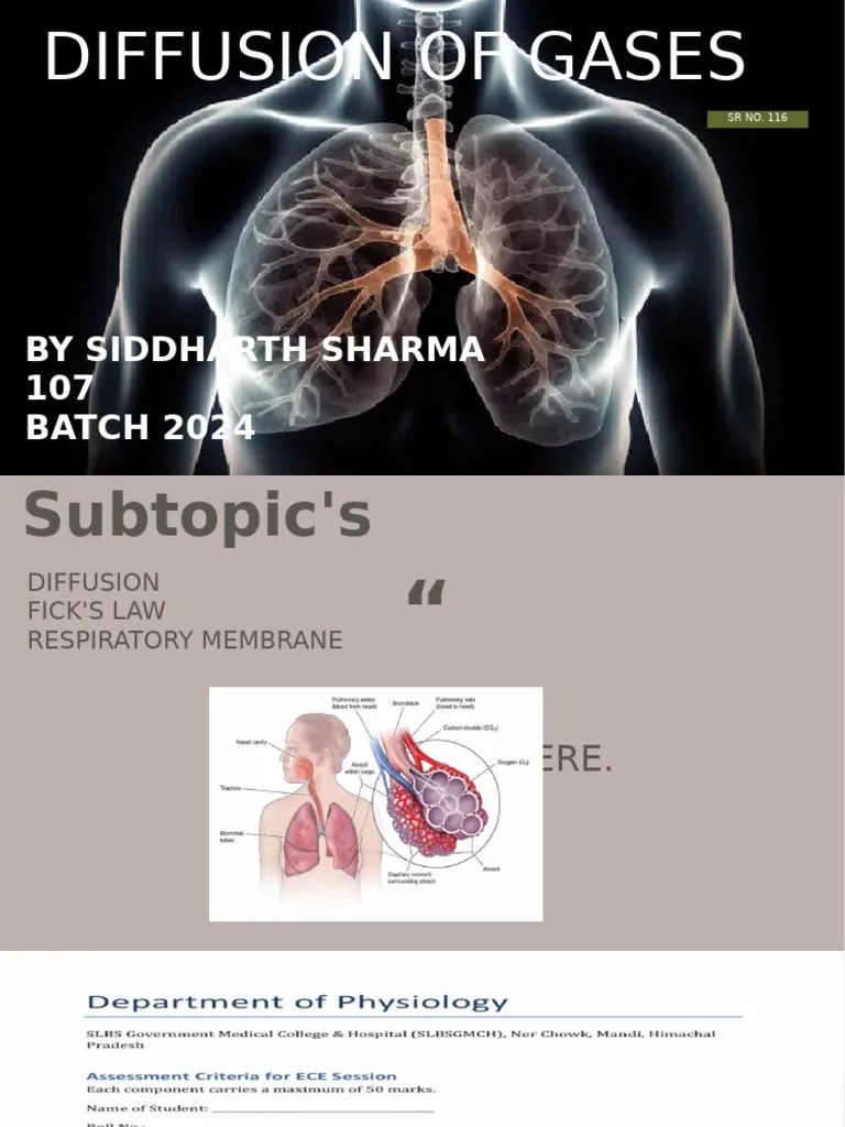 Diffusion Of Gases With Animations Pdf