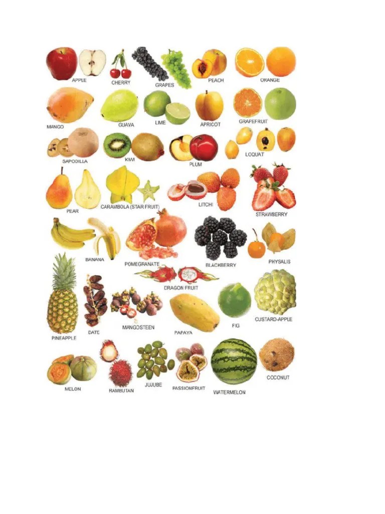 Fruit Pdf