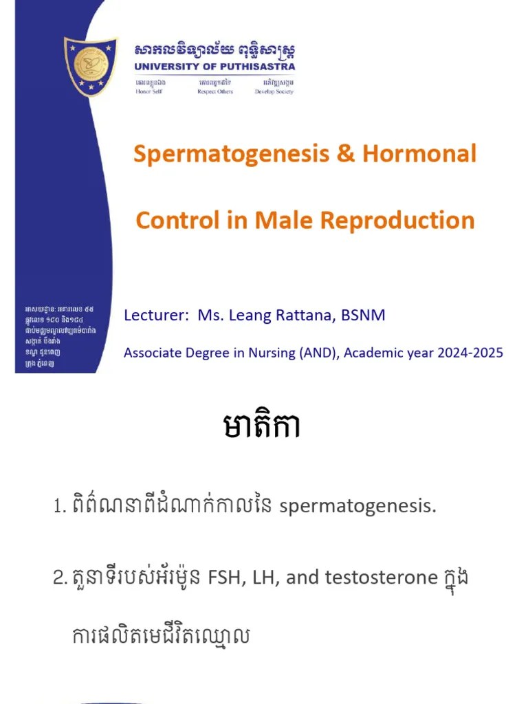 Session 3 Male Reproductive Hormone Pdf Luteinizing Hormone