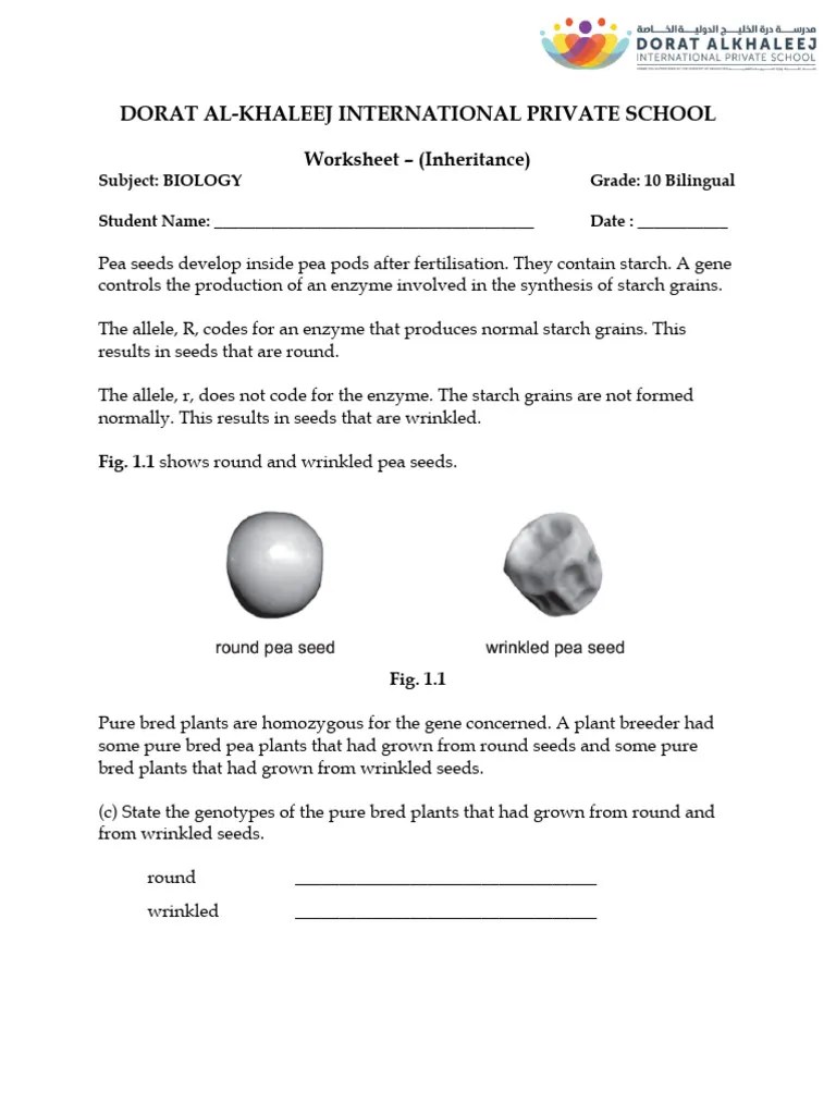Inheritance Worksheet For Grade 10 Biology Pdf