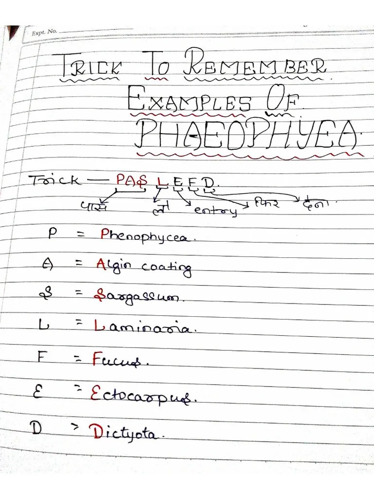 Tricks For Green Algae Pdf